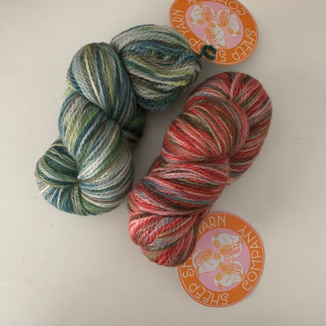 Sheep Shop Yarn Company Sheep 3 Multi Colored Yarn - Etsy