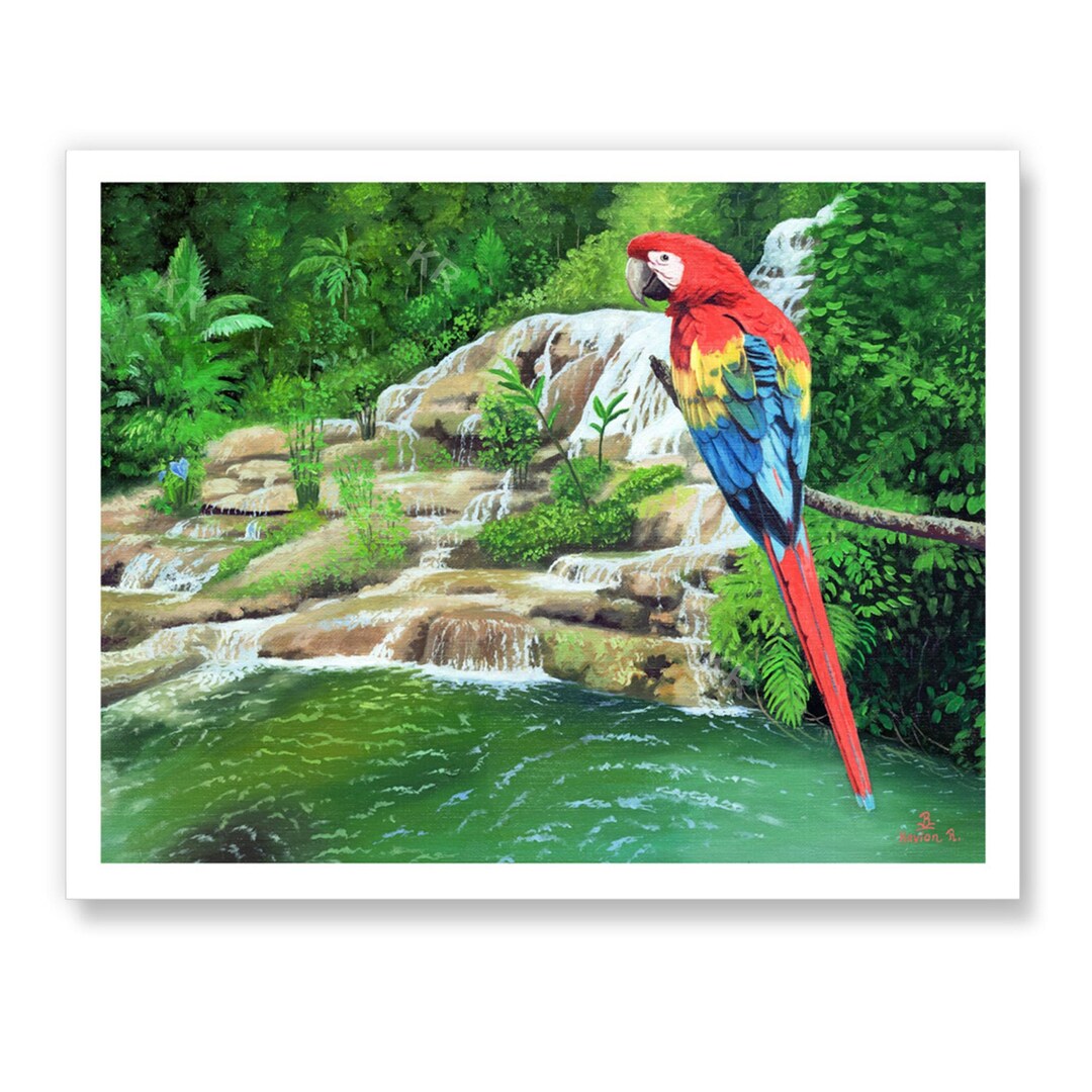 Konoko Falls With Scarlet Macaw - Art Print by Kavion Robinson - Etsy