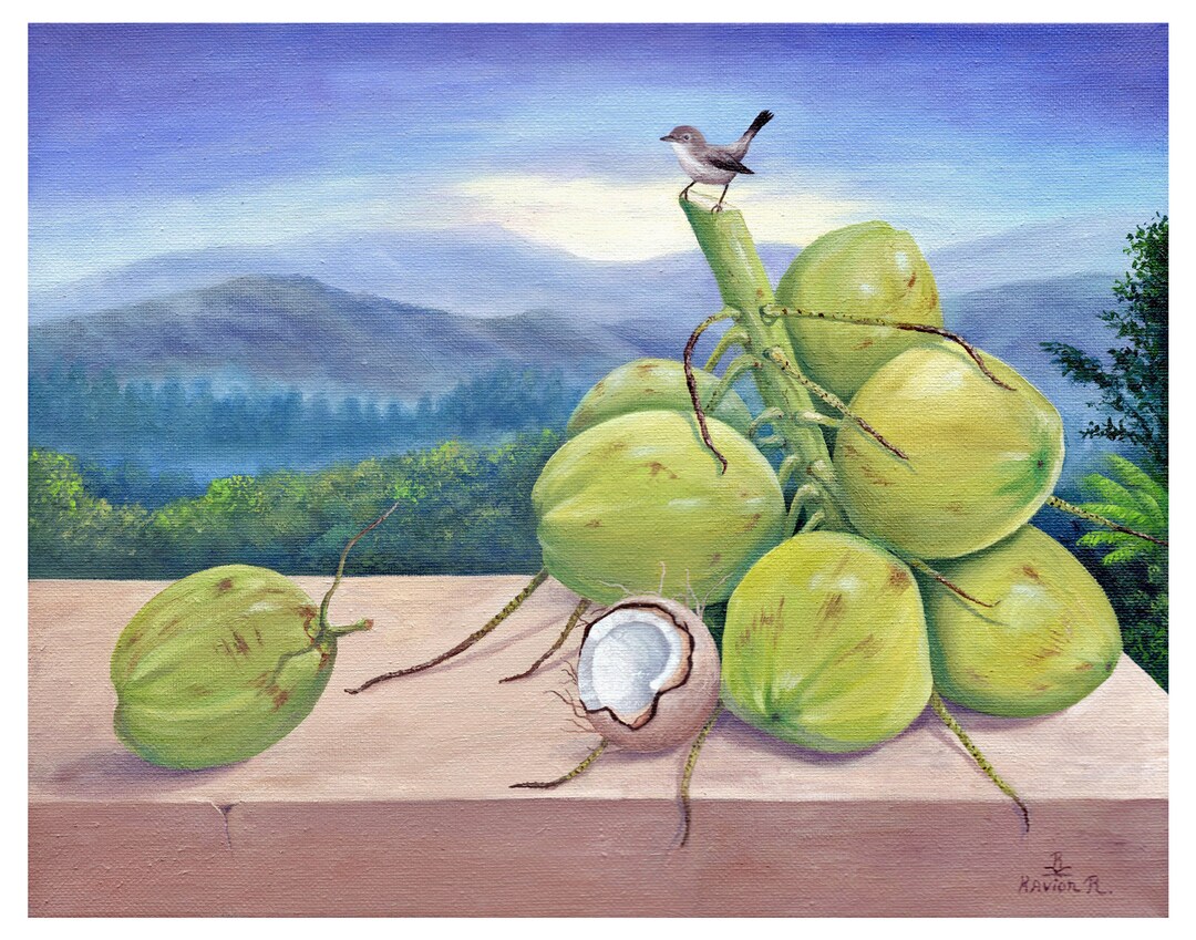 Coconut Still Life, Jelly Coconut Art Print, Tropical Artwork, Fruit ...