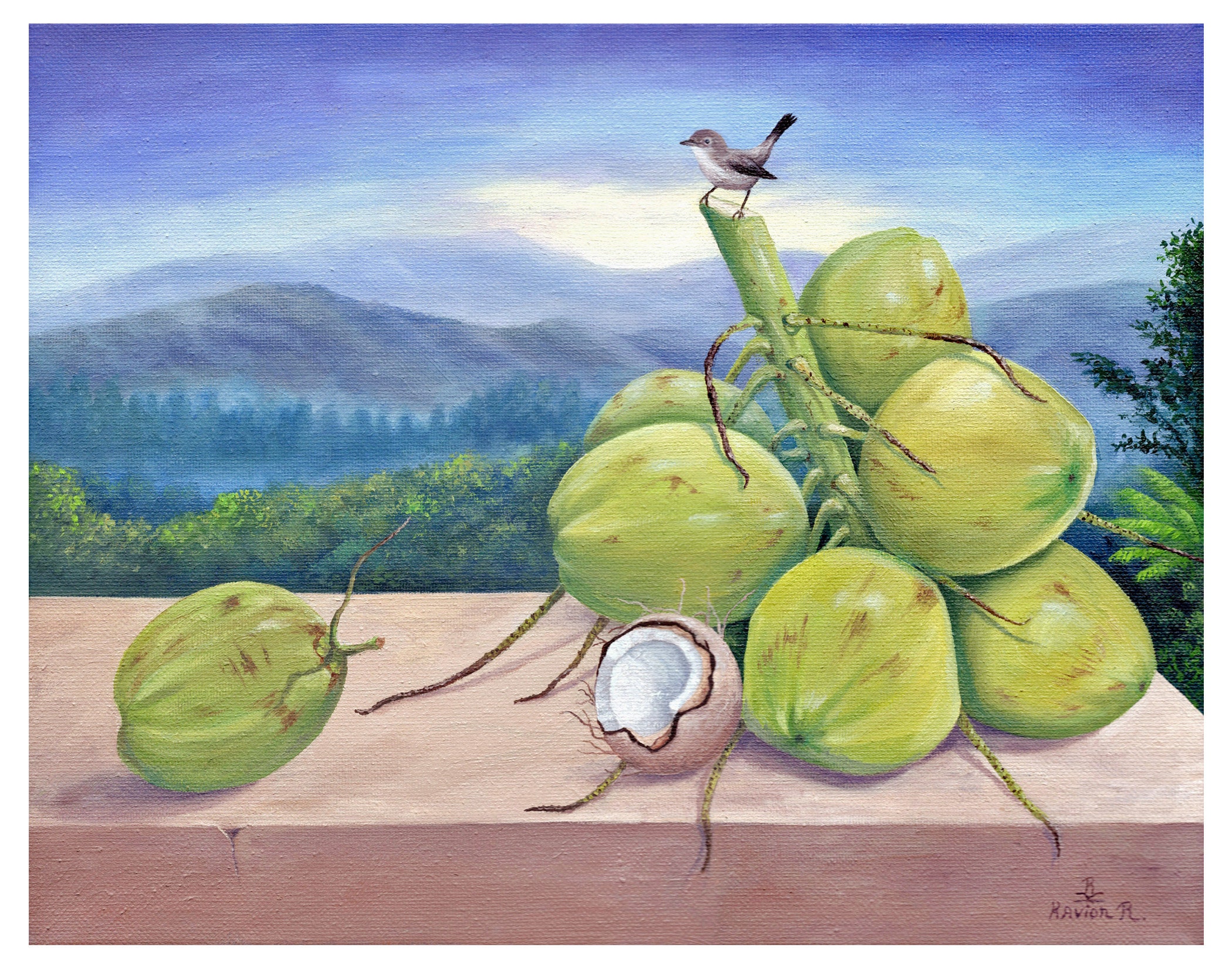 Coconut Still Life, Jelly Coconut Art Print, Tropical Artwork, Fruit ...