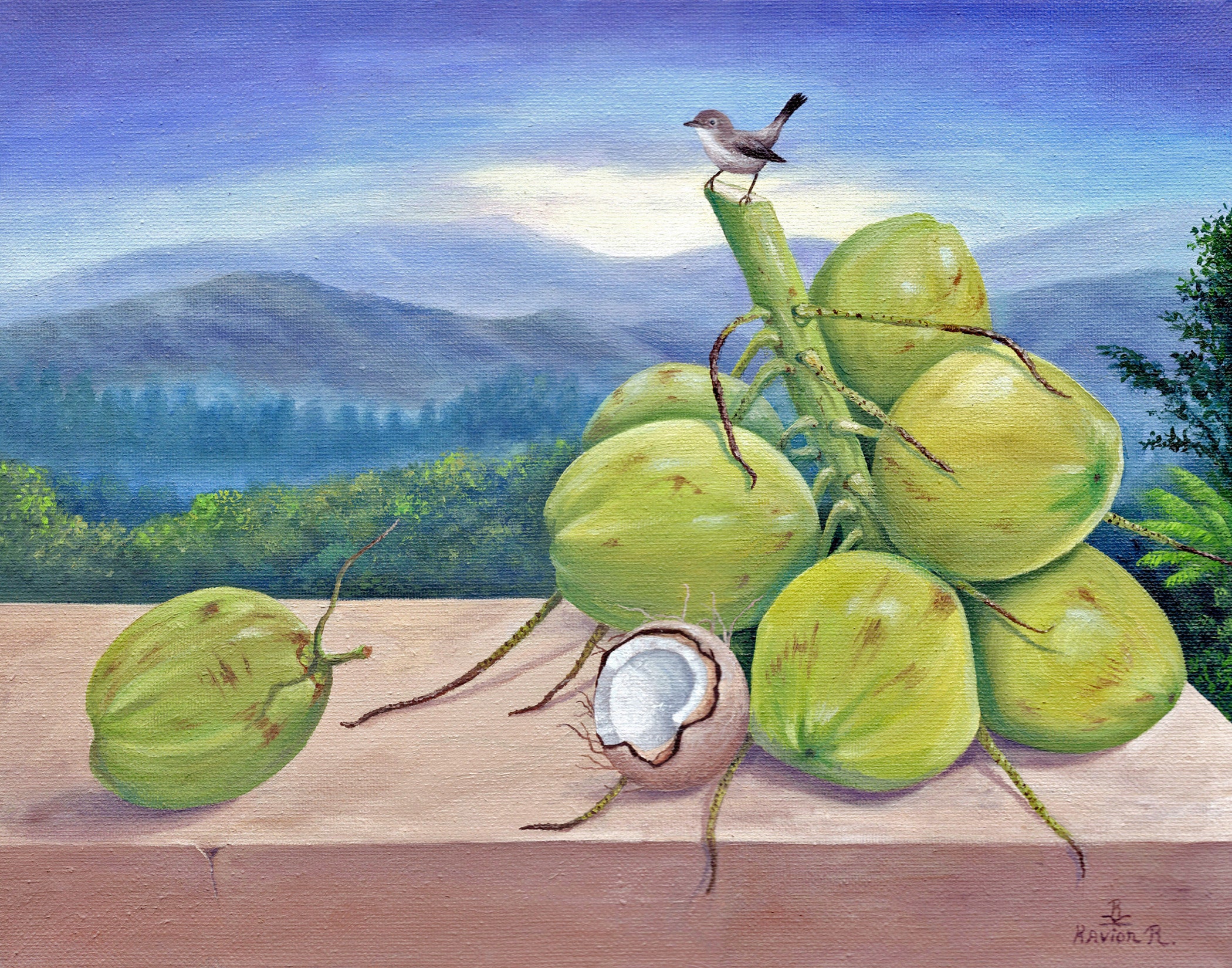 Coconut Still Life, Jelly Coconut Art Print, Tropical Artwork, Fruit ...