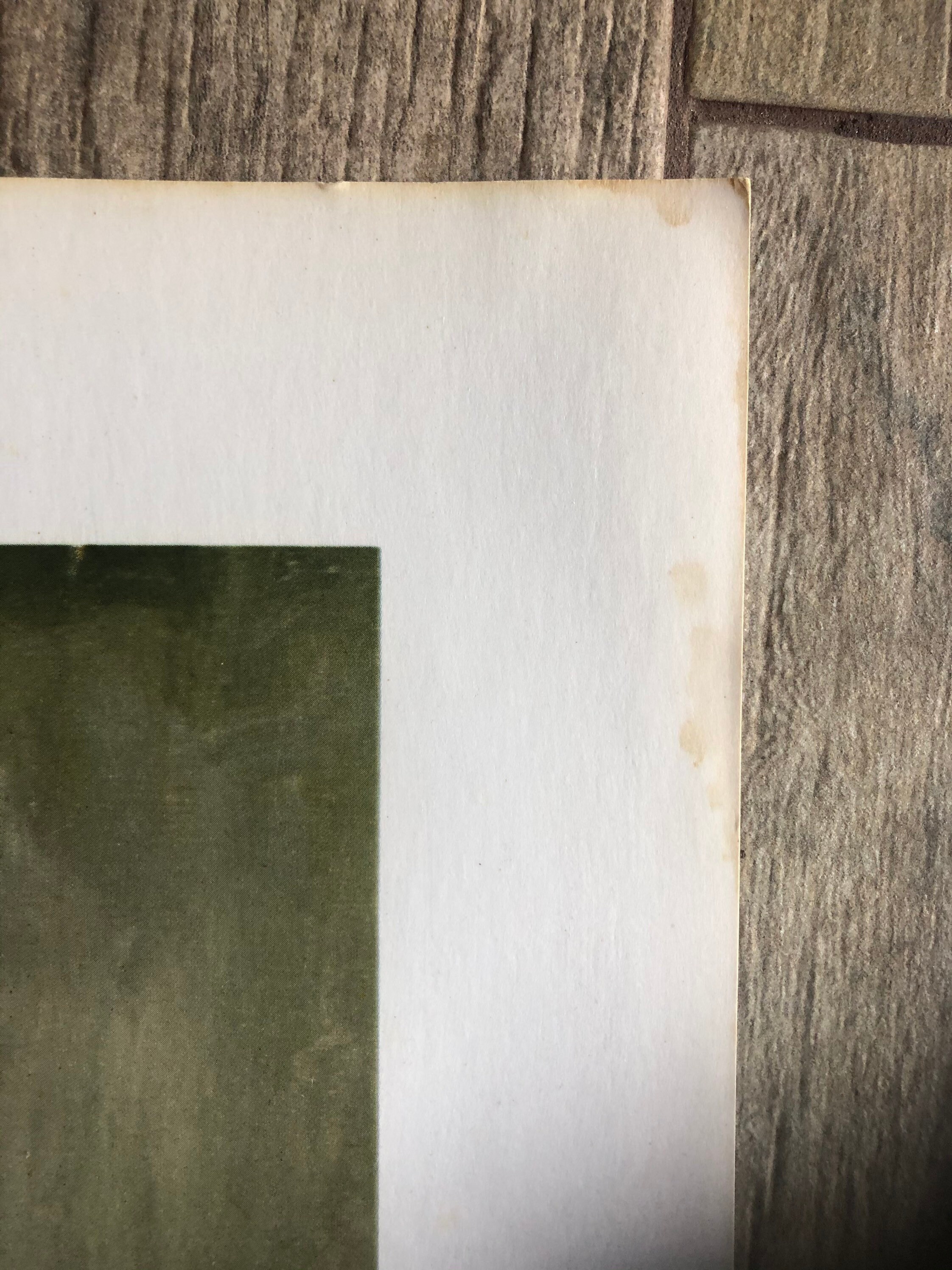 Margaret Walter KEANE Vintage Big Eyes Lithograph the Caretaker Bonus ...