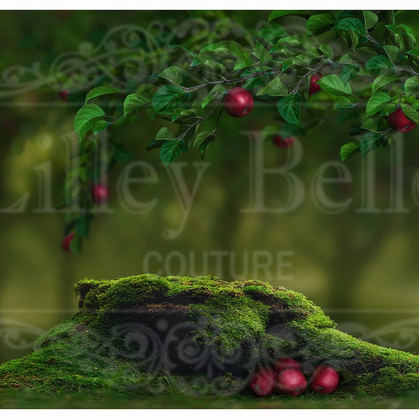 Snow White Backdrops - Etsy