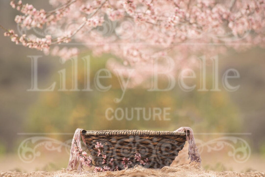Digital Prop/backdrop From Our NATURE COLLECTION (peach Blossom SITTER ...