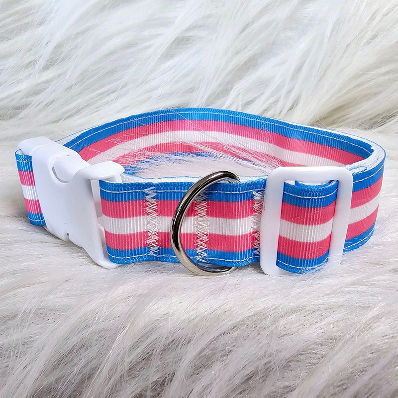 Trans Cosplay - Etsy