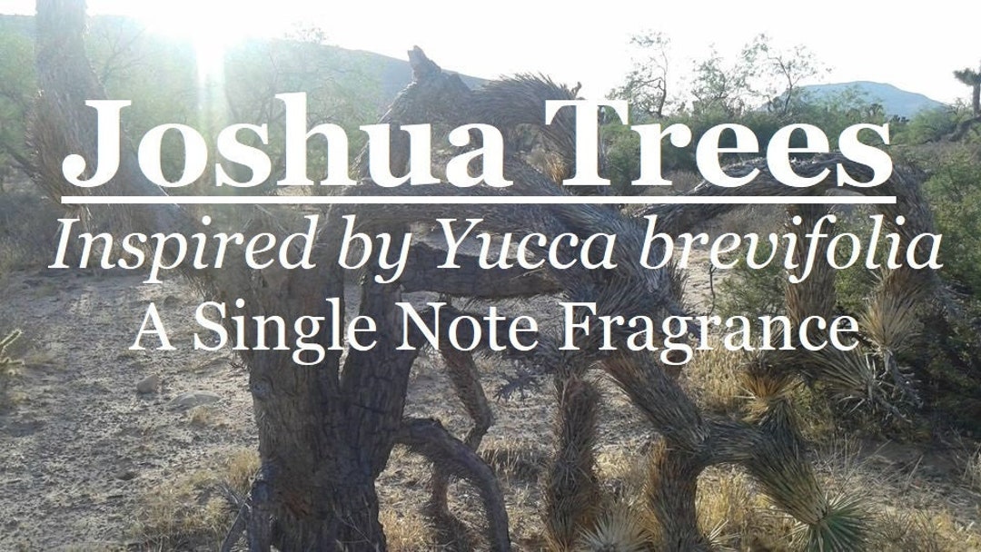 Joshua Trees Fragrance, Inspired by Yucca Brevifolia - Etsy