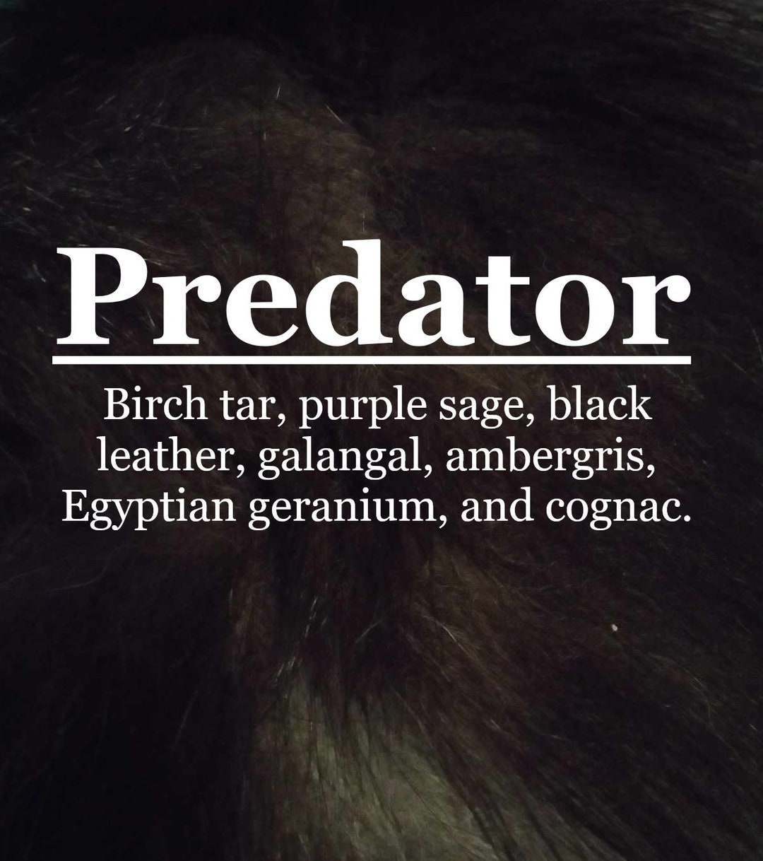 Predator Fragrance (birch Tar, Purple Sage, Black Leather, Galangal ...