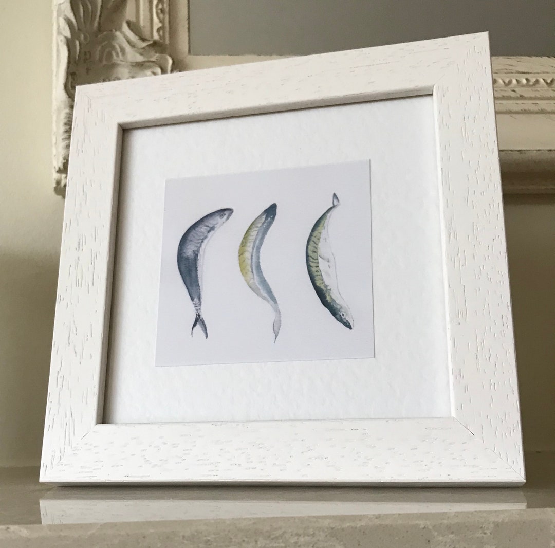 Mackerel Watercolour Three Little Fish, a Framed Print: Father’s Day ...