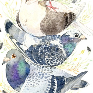 Art Print - "pigeon Stack" - 8x10 Rock Pigeon Dove Columbidae Paloma ...