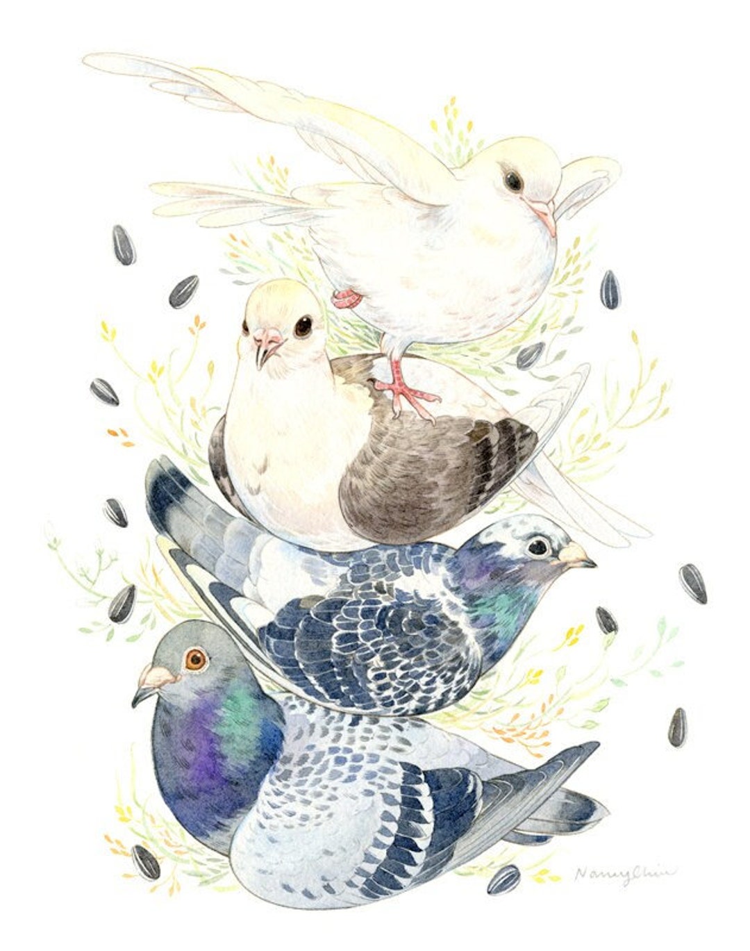 Art Print - "pigeon Stack" - 8x10 Rock Pigeon Dove Columbidae Paloma ...