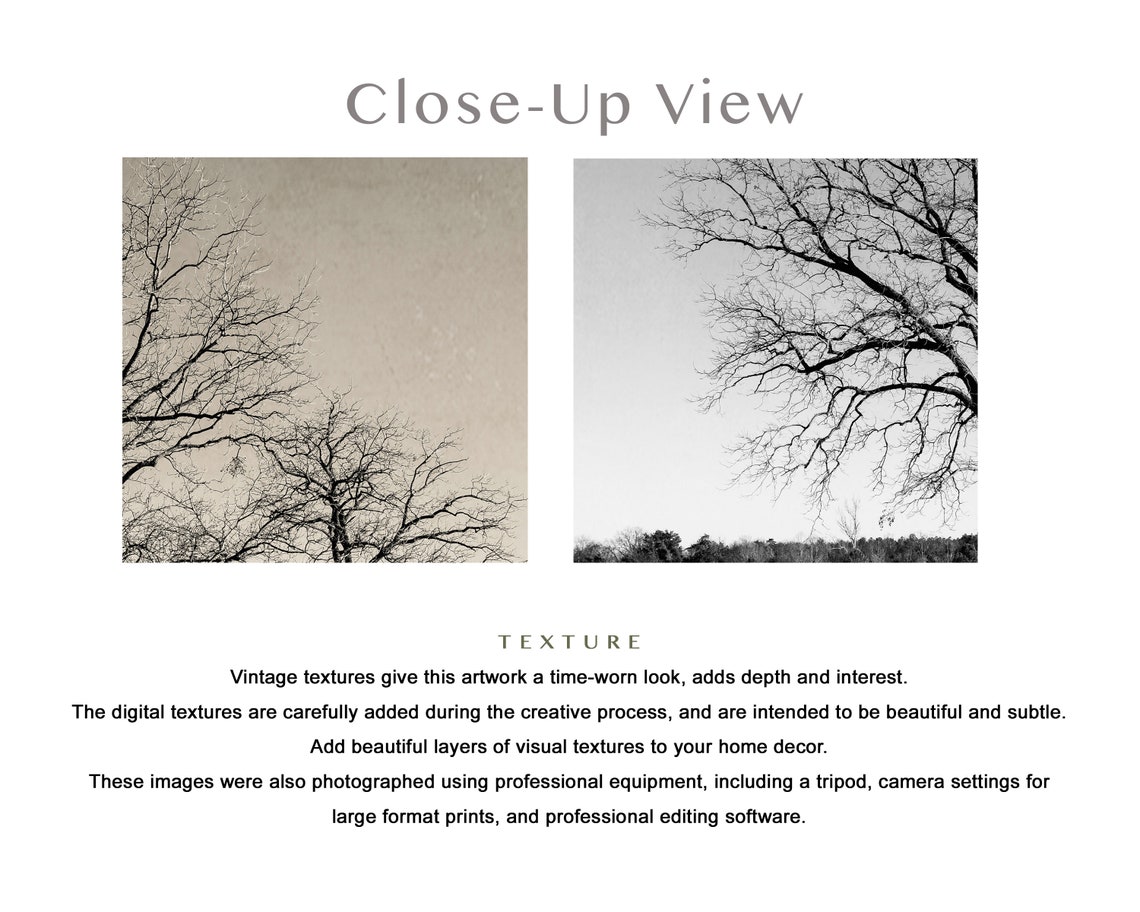 Rustic Tree Wall Art Decor. Set of 2 Tree Landscape | Etsy