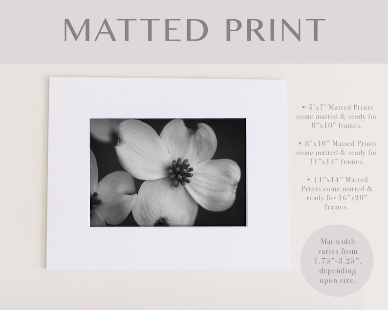 Blue Floral Photography Prints Farmhouse Wall Art Country - Etsy