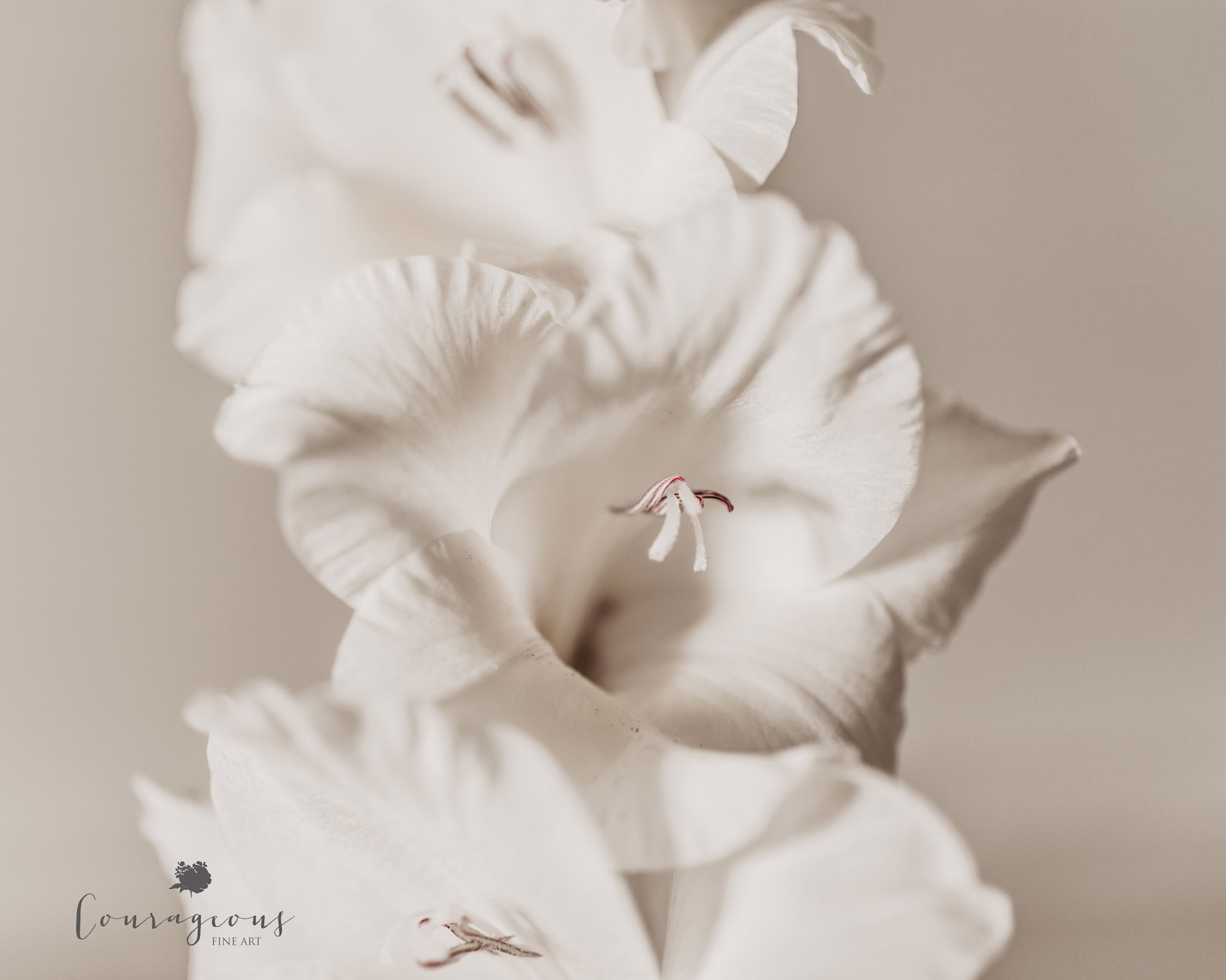 Cream Wall Art Prints Fashion Photography White Print Set - Etsy