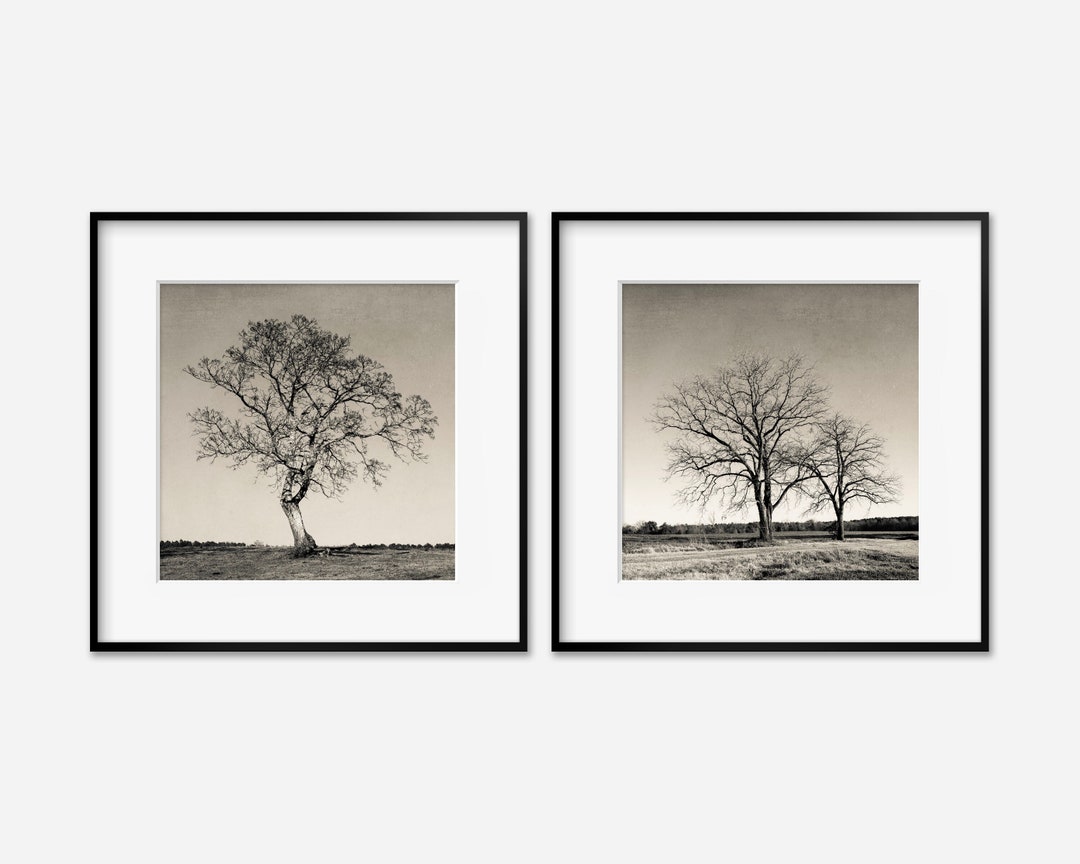 Rustic Tree Wall Art Decor. Set of 2 Tree Landscape Photography Prints ...