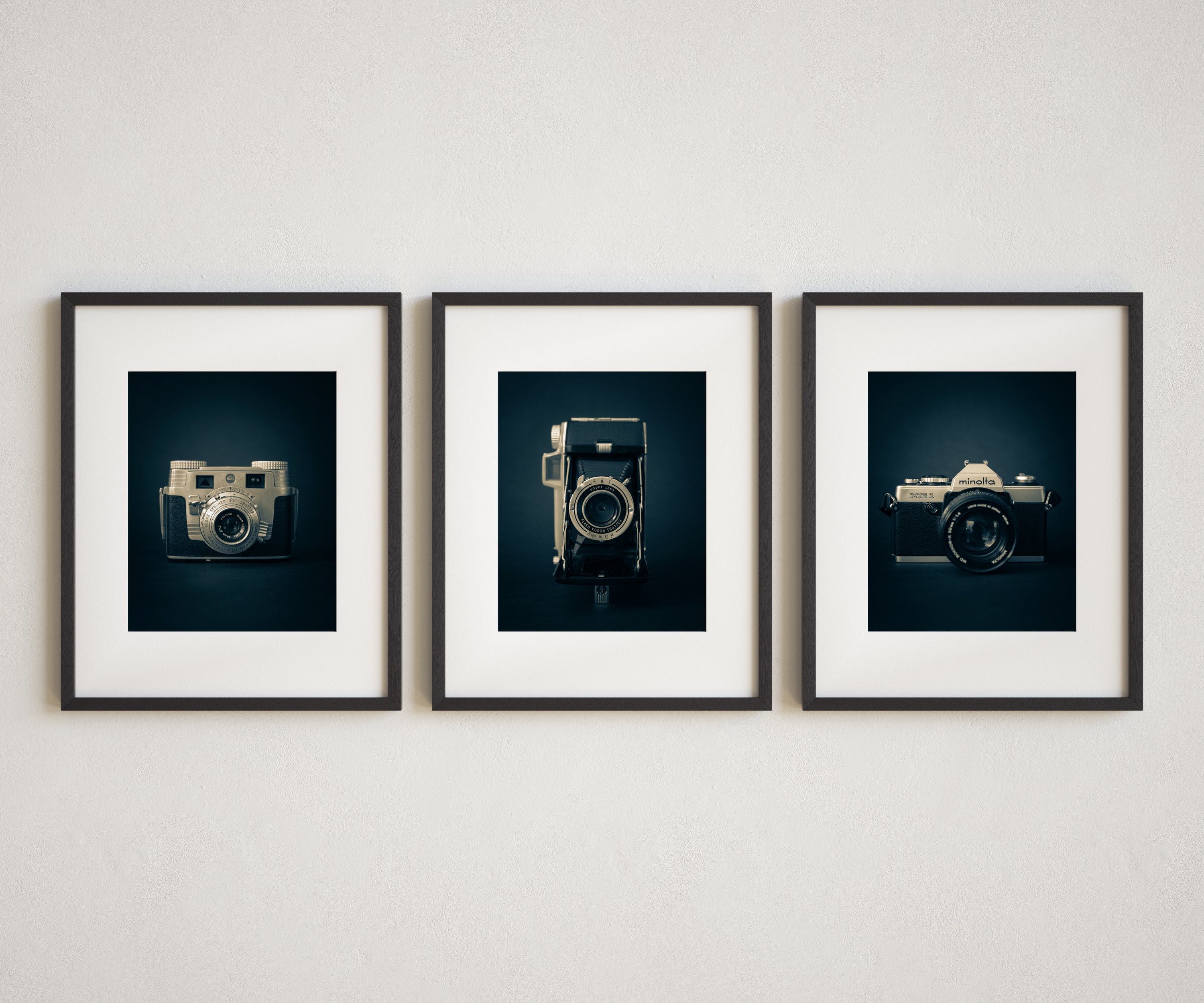 Vintage Camera Wall Art
