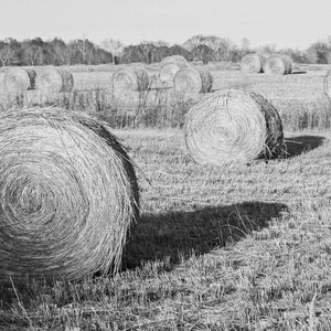 Farmhouse Print, Hay Bales, Farm Landscape Photography, Country Wall ...