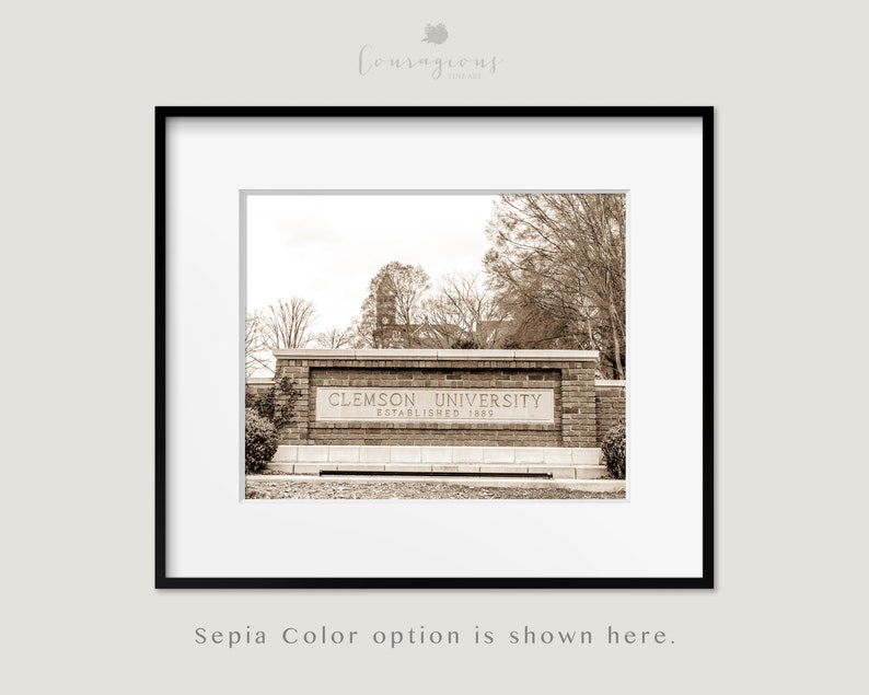 Clemson University Wall Art Print or Canvas. Clemson - Etsy