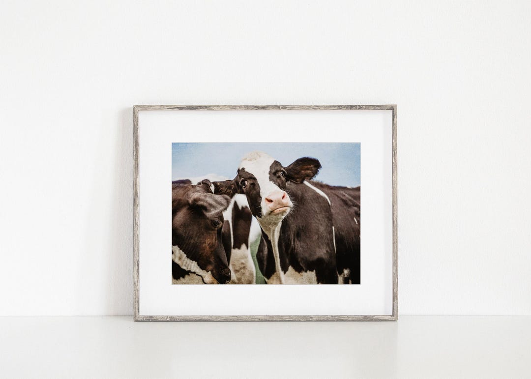 Whimsical Farmhouse Cow Wall Art Print or Canvas for Country Kitchen or ...