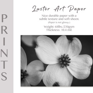 Rustic Farmhouse Wall Art Decor, Set of 4 Country Rustic Art Prints ...