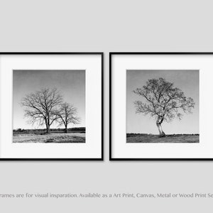 Rustic Tree Wall Art Decor. Set of 2 Tree Landscape Photography Prints ...