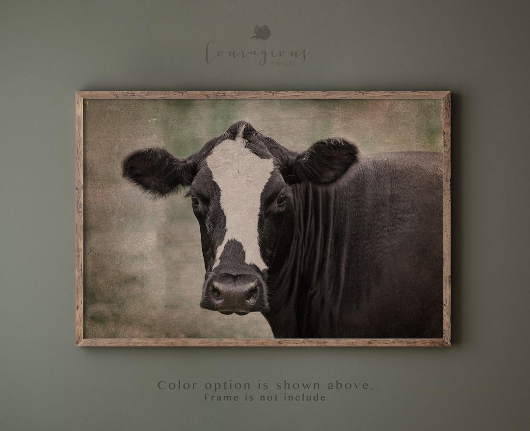 Rustic Cow Photography Print or Canvas Wall Art. Farmhouse Art Print ...