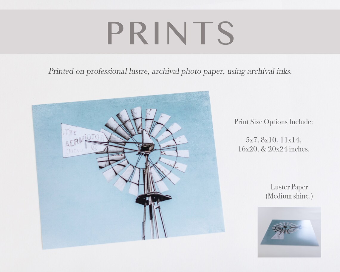 Blue Floral Photography Prints Farmhouse Wall Art Country - Etsy