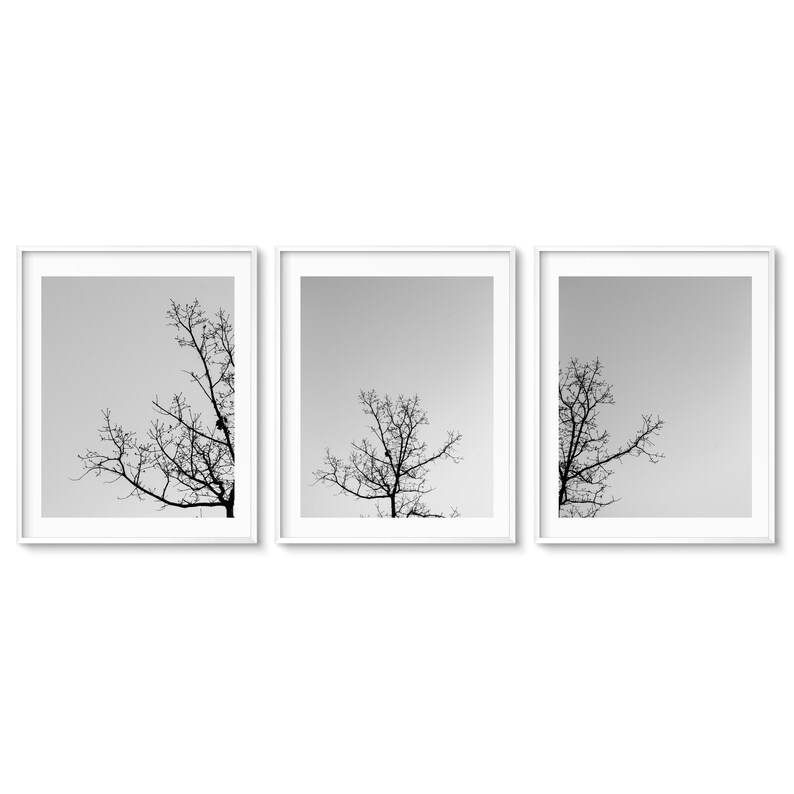 Minimal Nature Print Set Tree Photography Prints Rustic | Etsy