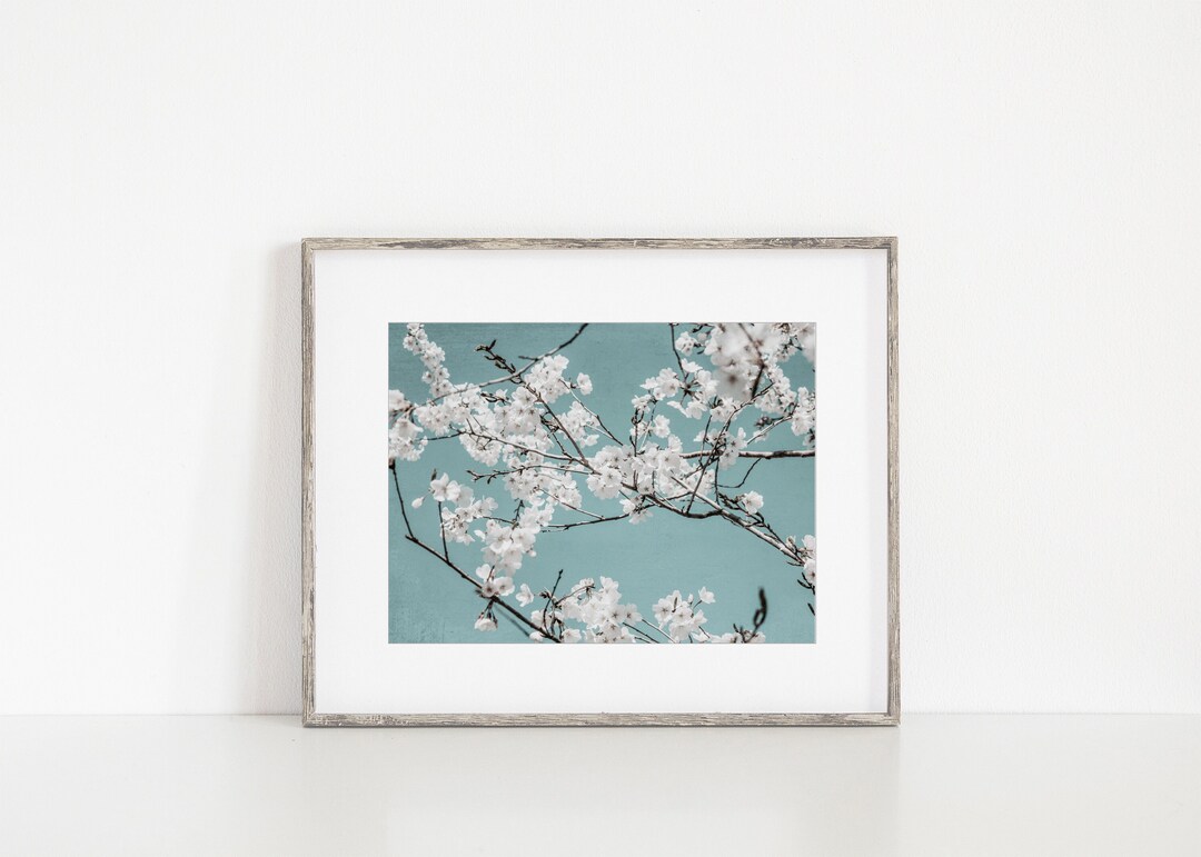 Shabby Chic Teal Blue Floral Wall Art Print or Canvas Wrap. - Etsy