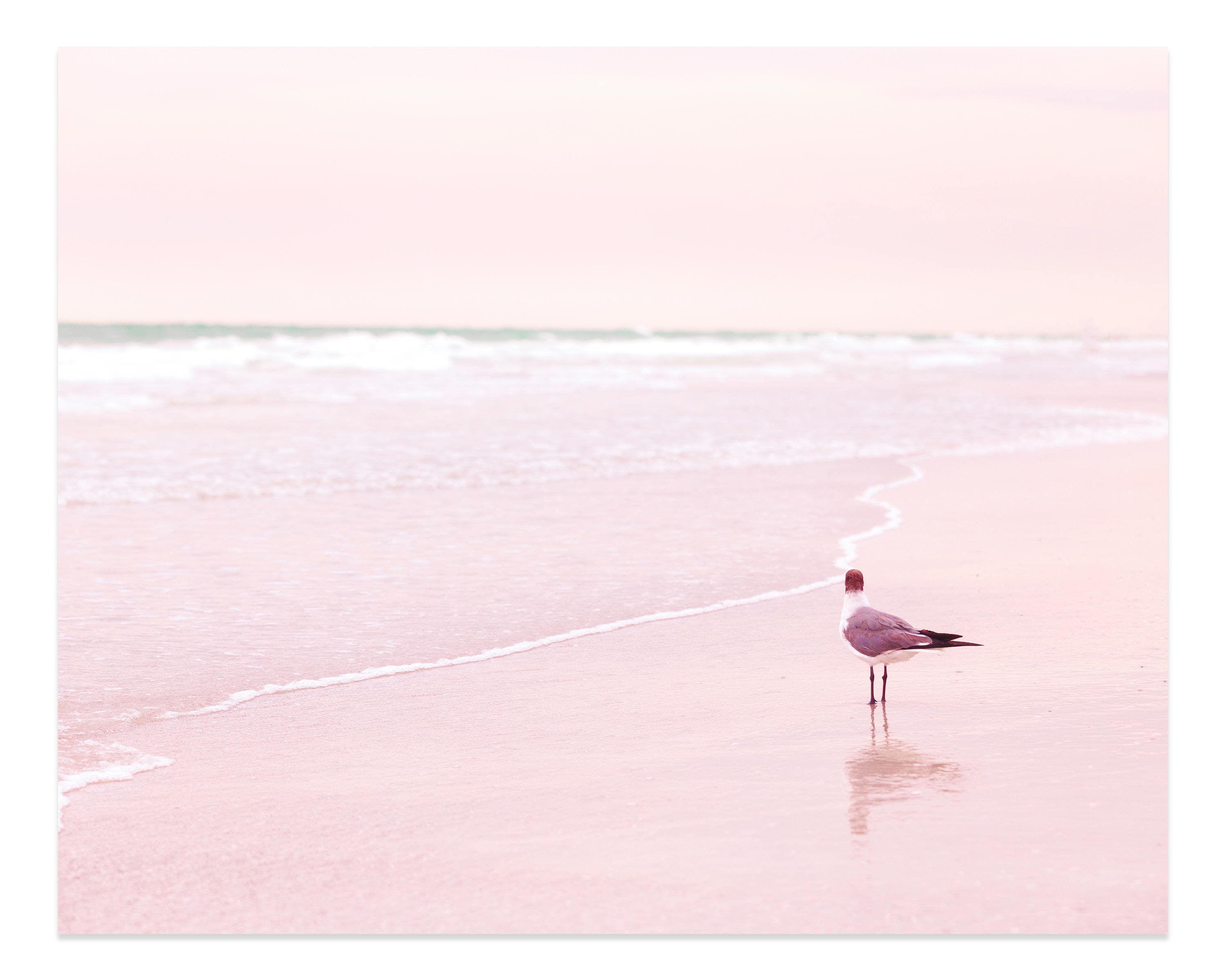 Pastel Nature Photography