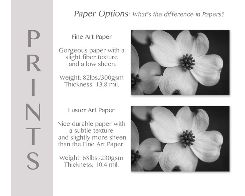 Blue Floral Photography Prints Farmhouse Wall Art Country - Etsy