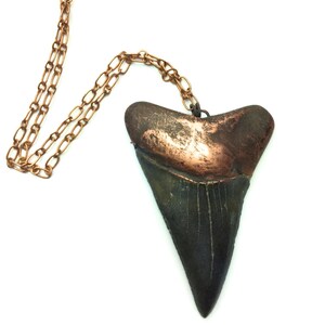 Large Shark's Tooth Pendant | Electroformed Copper Shark Tooth ...