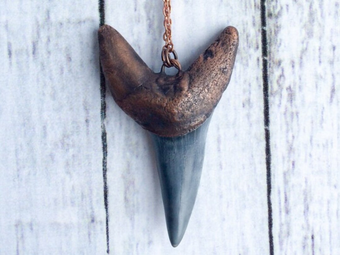 Large Shark's Tooth Pendant | Electroformed Copper Shark Tooth ...