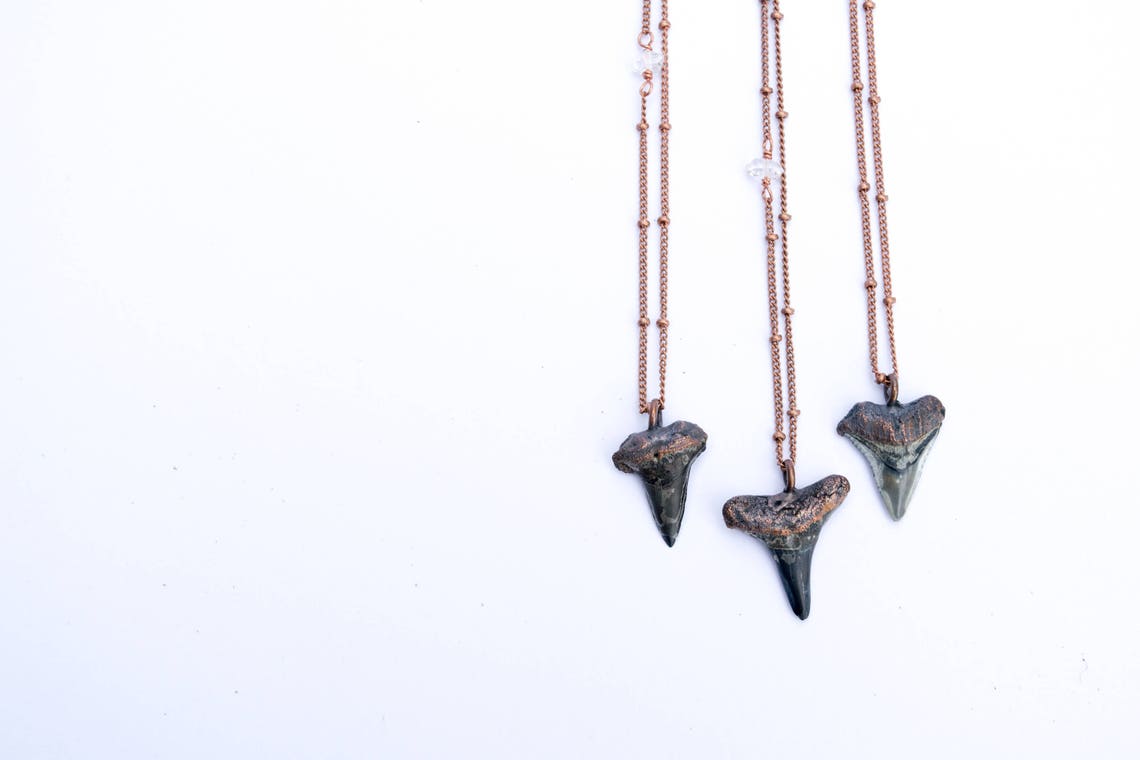 Shark's Tooth Pendant Electroformed Copper Shark Tooth - Etsy
