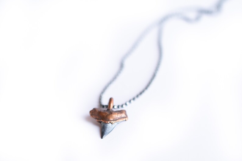 Sharks Tooth Pendant Electroformed Copper Shark Tooth - Etsy