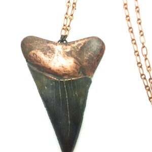 Large Shark's Tooth Pendant | Electroformed Copper Shark Tooth ...