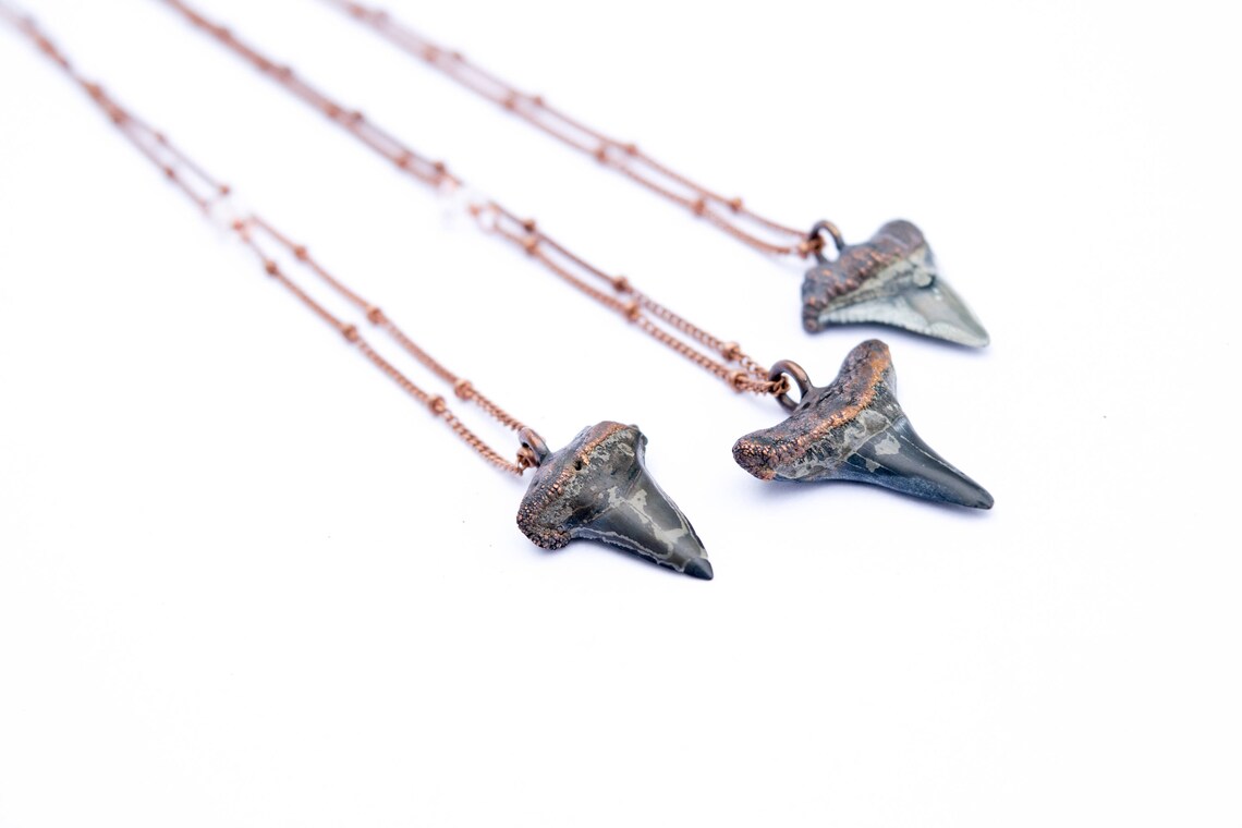 Shark's Tooth Pendant Electroformed Copper Shark Tooth - Etsy
