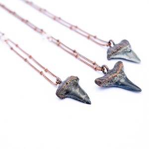 Shark's Tooth Pendant Electroformed Copper Shark Tooth Pendant ...