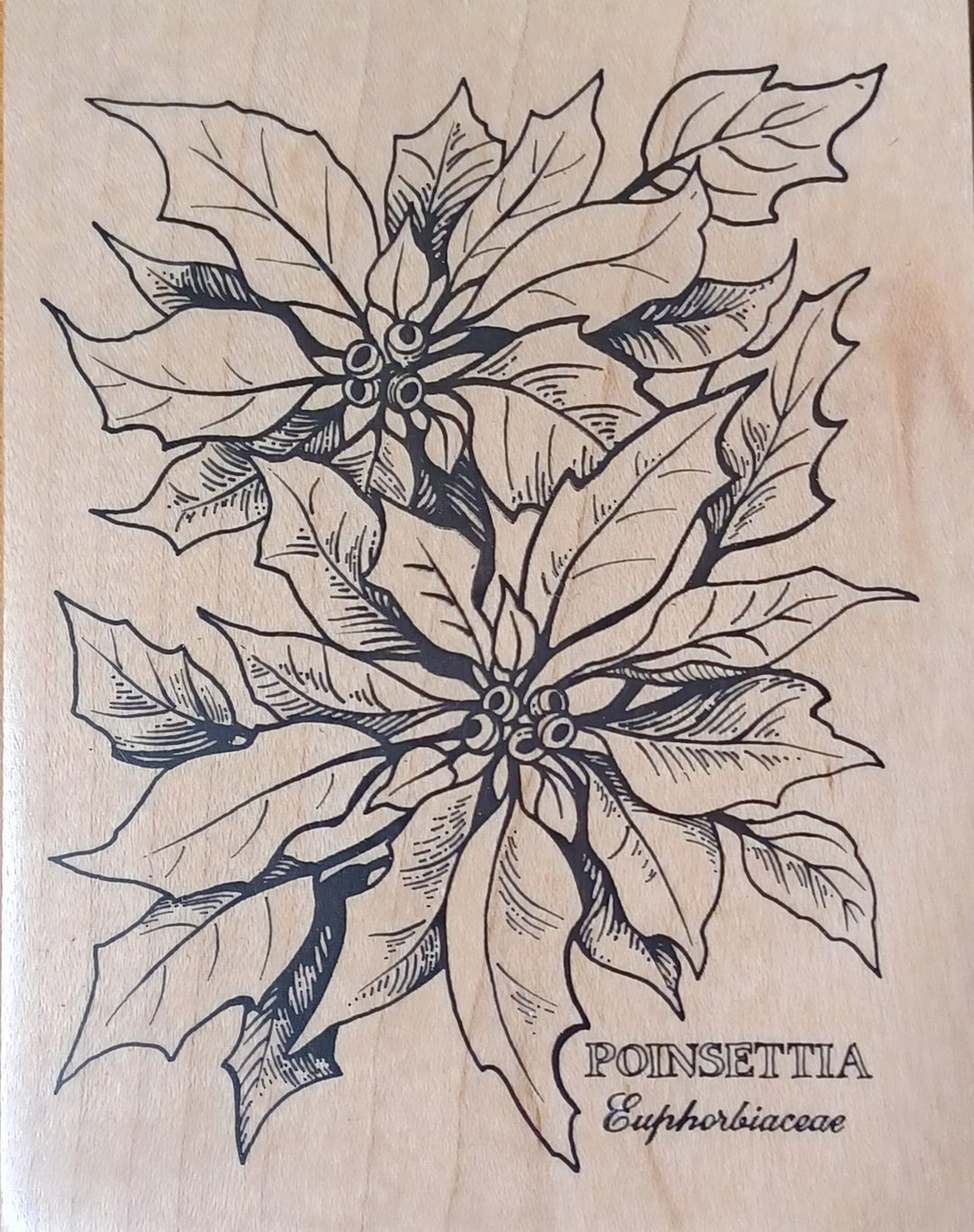 PSX Poinsettia Euphorbuaceae Botanical Extra Large Wood Mounted Rubber ...
