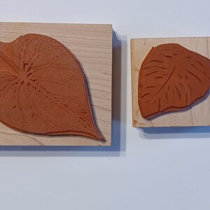 2 Ornate Delicate Leaf Wood Mounted Rubber Stamp Hero Arts & Rubber ...