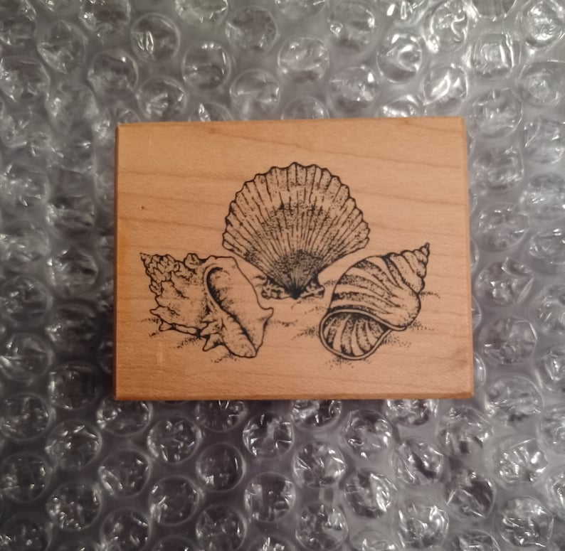Trio of Shells Scallop Conch PSX Wood Mounted Rubber Stamp - Etsy