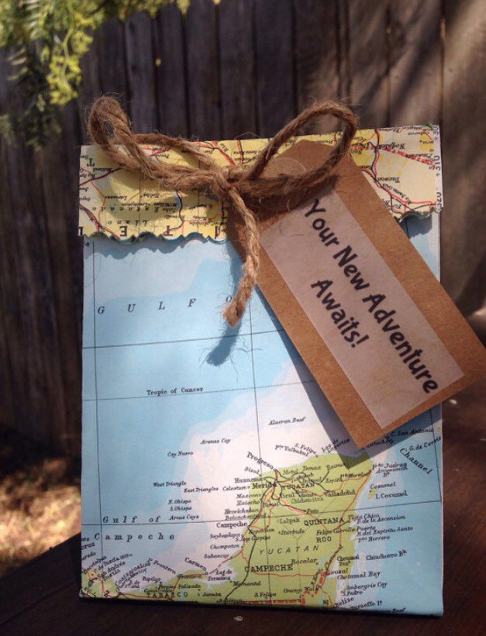 20 World Map Favor Bags - Etsy