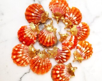 Sunrise Shell Necklace - Etsy