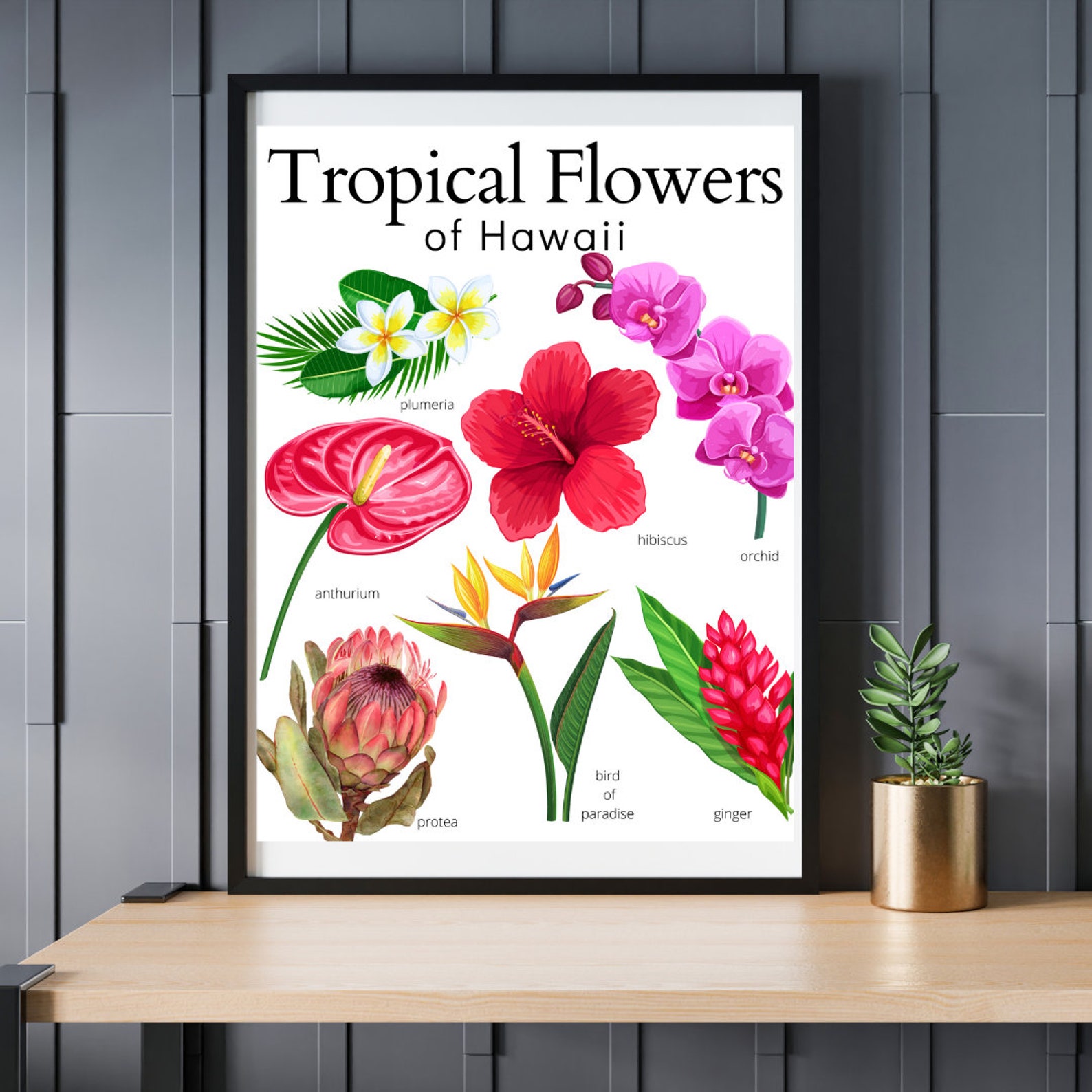 Tropical Flowers of Hawaii Print Poster Flower Home Decorating ...