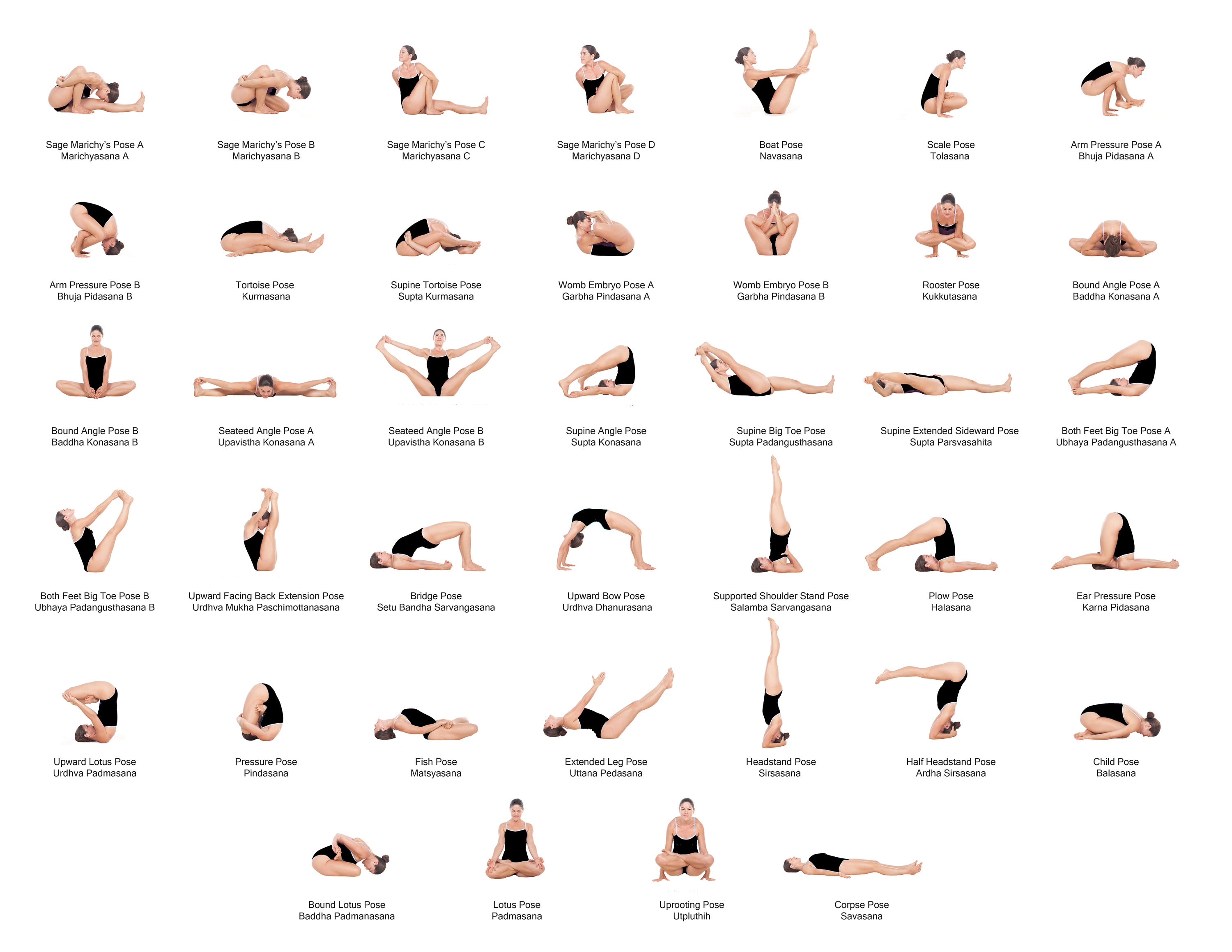 yoga asanas postures with pictures pdf