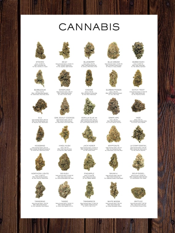 Different Types Of Weed Poster