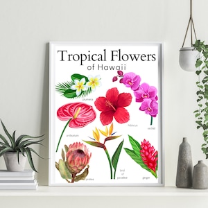 Tropical Flowers of Hawaii Print Poster Flower Home Decorating ...
