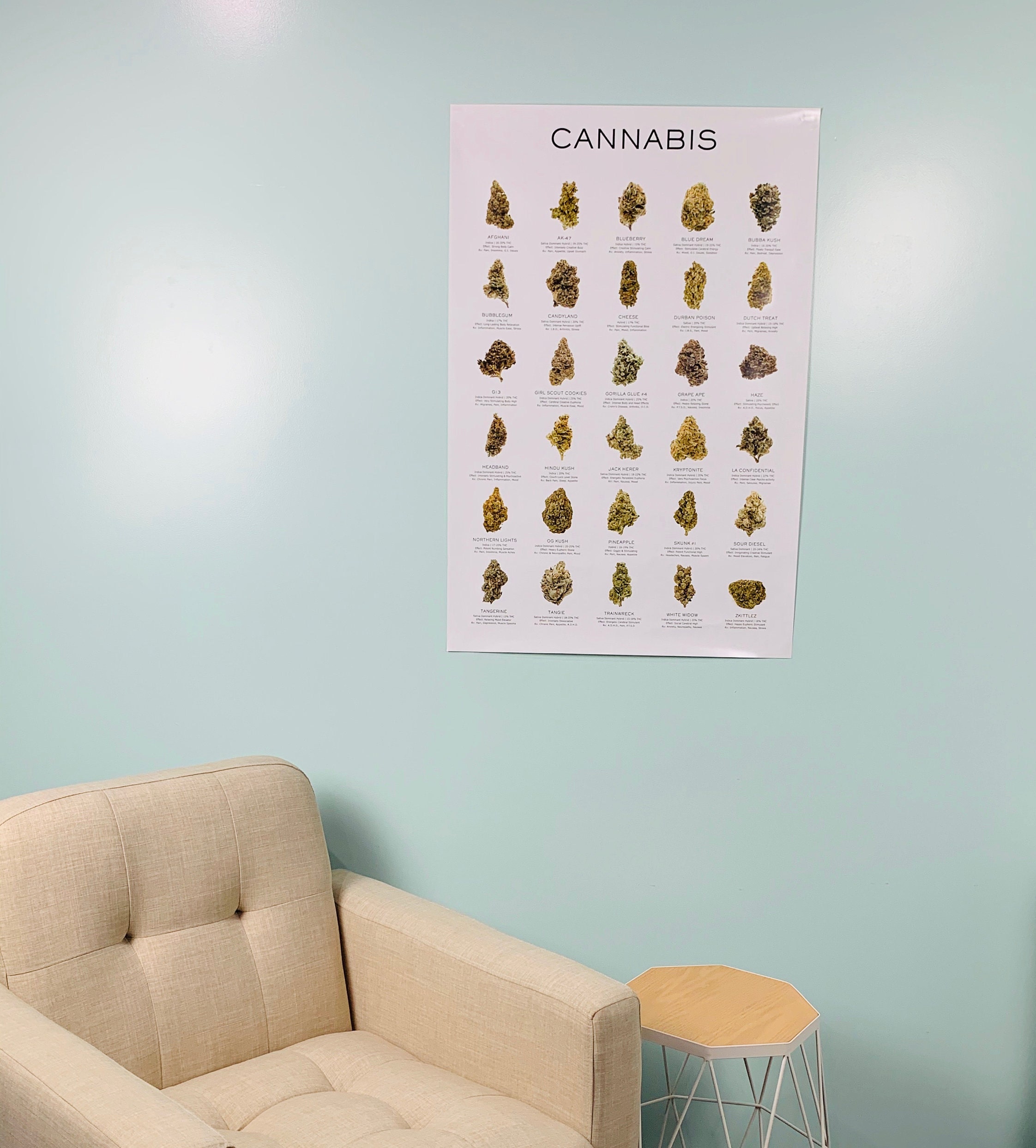 Medical Cannabis Strains Poster, Educational Chart (digital Download ...