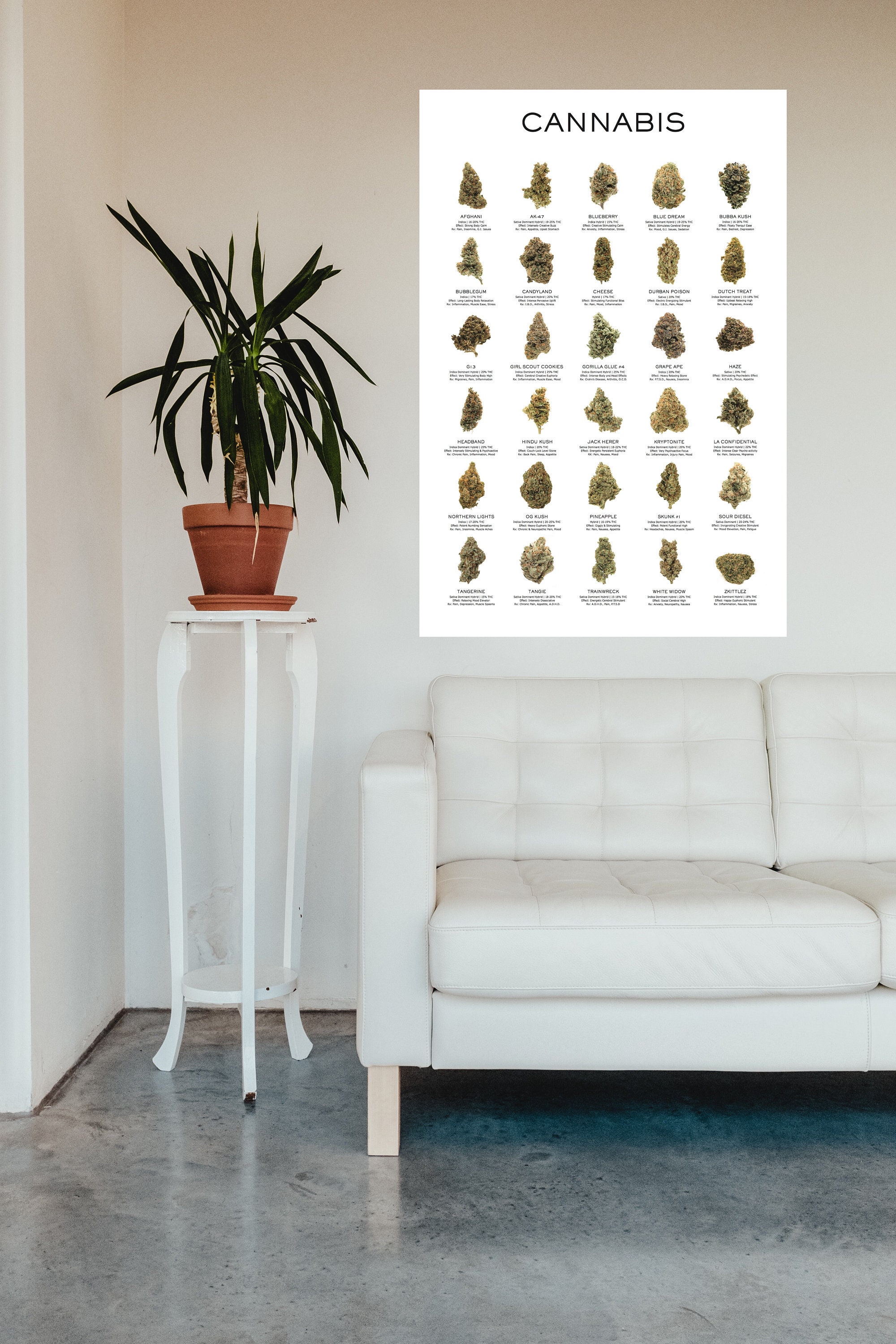 Medical Marijuana Strains Poster – Illustrated Cannabis Chart – Weed ...