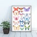 Butterfly Print Papillon Print Butterfly Poster Butterfly | Etsy