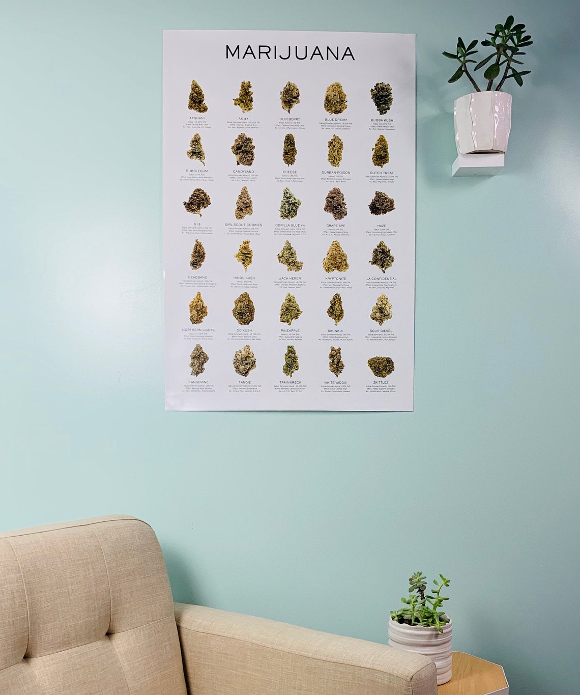 Digital Download, Marijuana Poster, Cannabis, Marijuana Chart ...